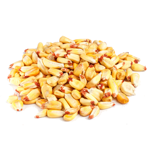 Chulpi 0.45Kg | La Cobacha