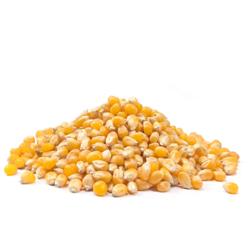 Canguil 0.45Kg - La Cobacha